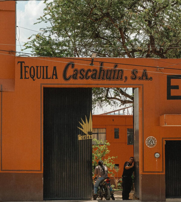 ELIGE TU AVENTURA. El Castillo de tequila, Tequila Fortaleza, Cascahuin ...