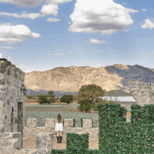 El Castillo de Tequila: tradición, degustaciones y experiencias únicas ...