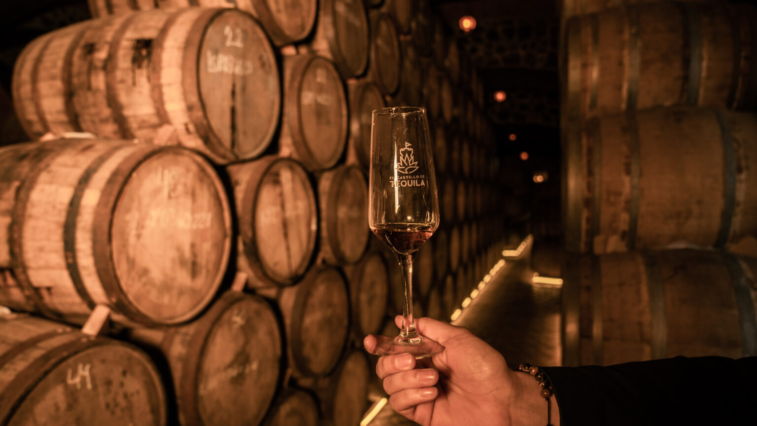 El Castillo de Tequila: tradición, degustaciones y experiencias únicas ...